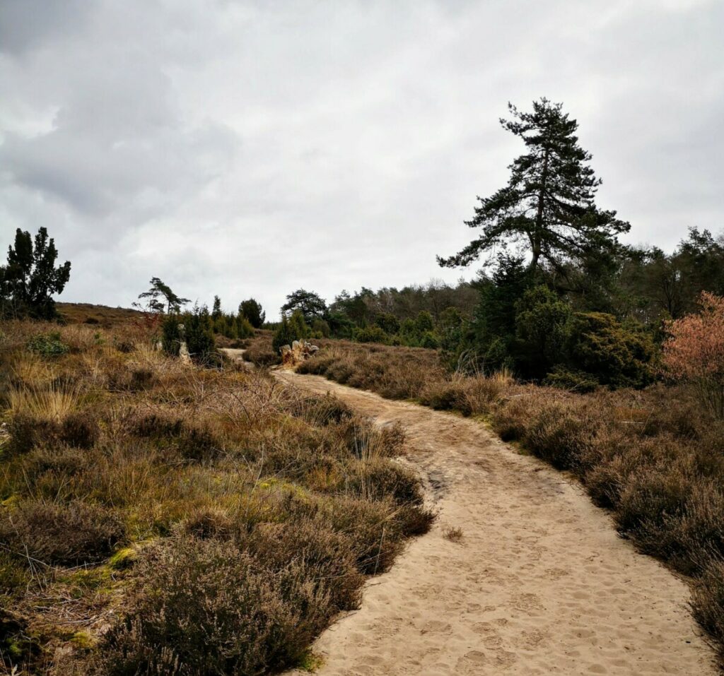 Wandelen in Twente - Lutterzand Florilympha - 10 km - Zinvol Reizen