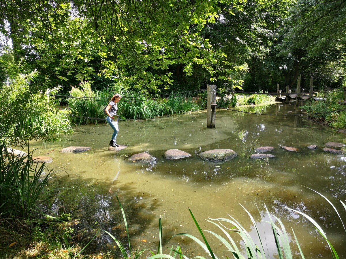Wandeling Amsterdam Watergraafsmeer - Stadse Tocht in het voormalige ...