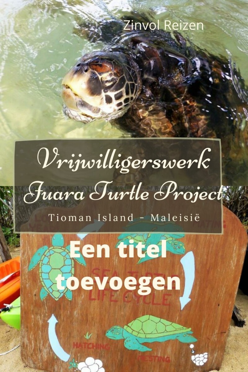 Vrijwilligerswerk tijdens je backpackreis. Ik ging werken bij het Juara ...